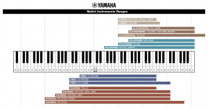 What’s the Difference Between Marimba and Xylophone?