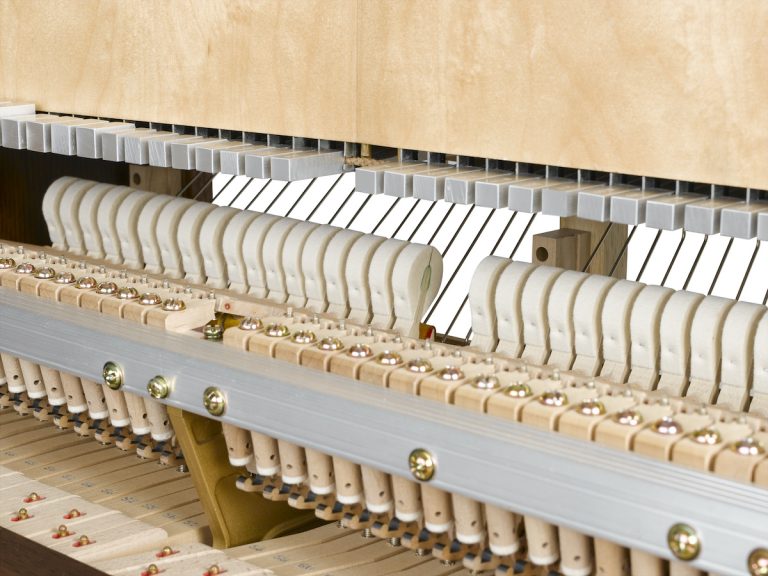 Here’s What You Need to Know About Celestes