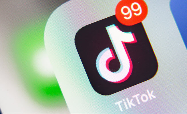 The TikTok Vintage Resurgence
