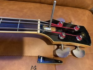 Back to Bassics: How to Set Up Your Bass