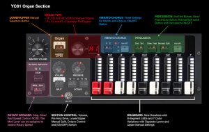 History Of The Organ