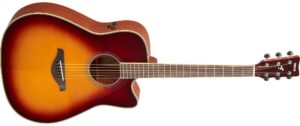 What are the Different Acoustic Guitar Body Types?